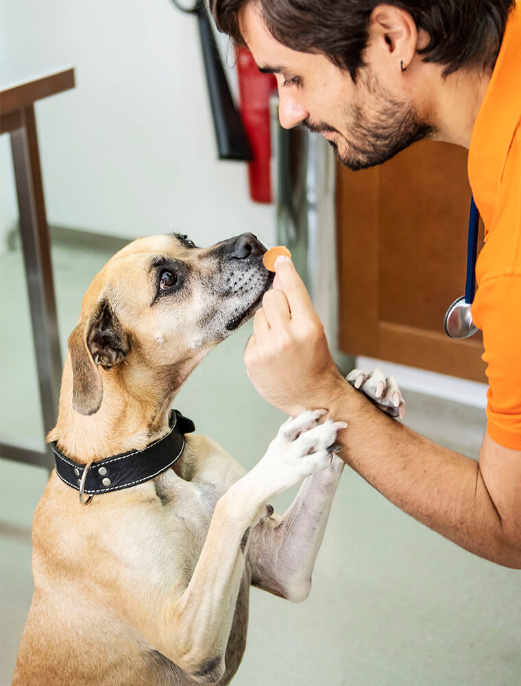Veterinary Clinic